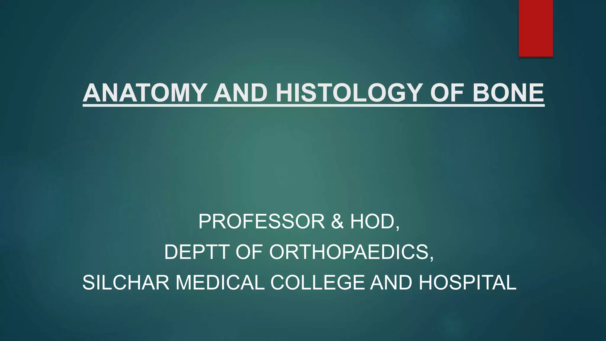 Anatomy and histology of bone | PPTX