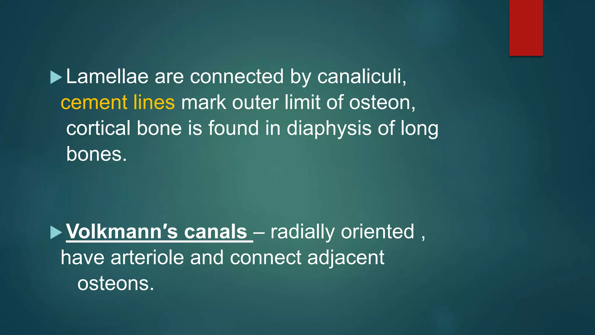 Anatomy and histology of bone | PPTX