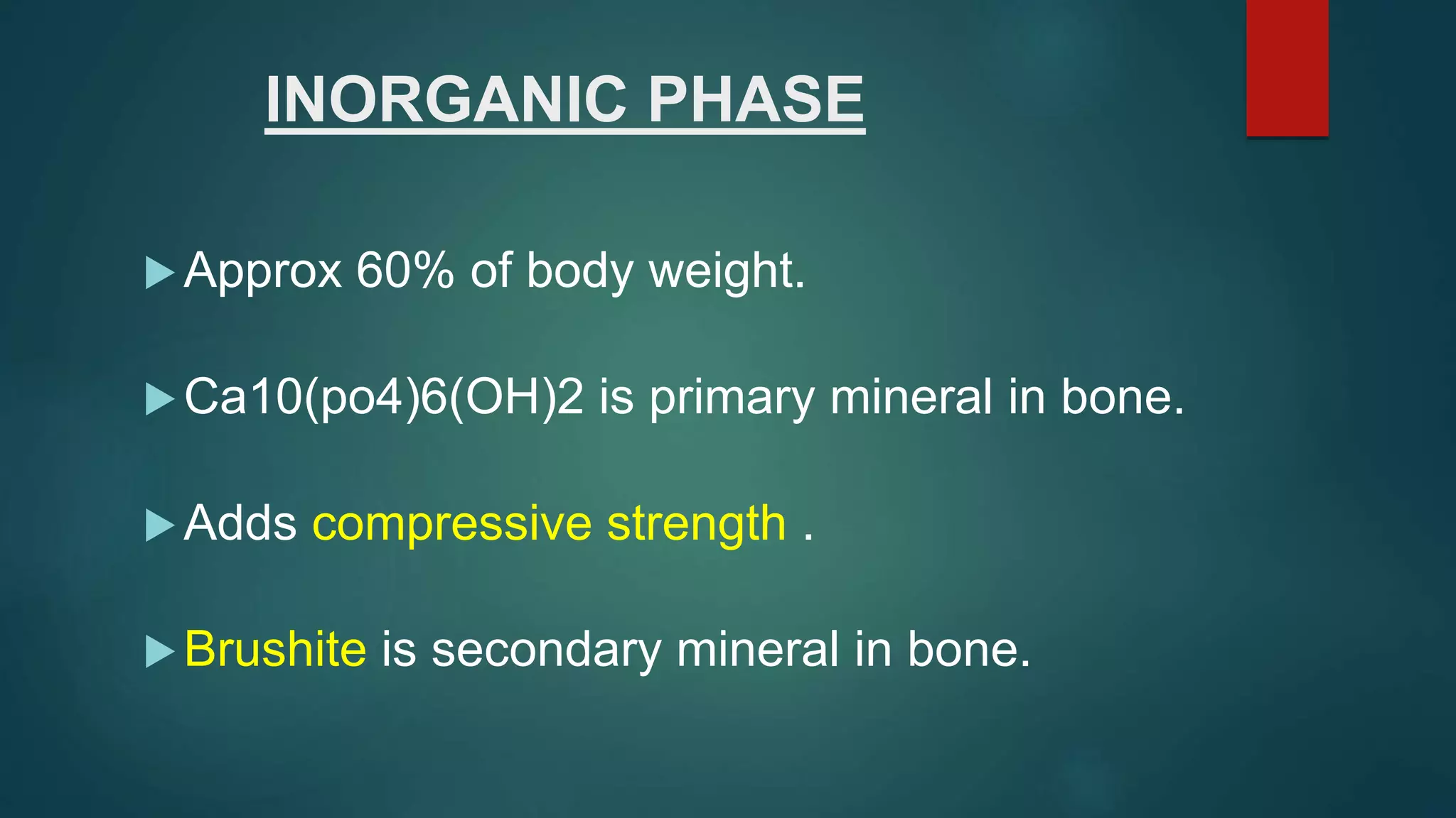 Anatomy and histology of bone | PPTX