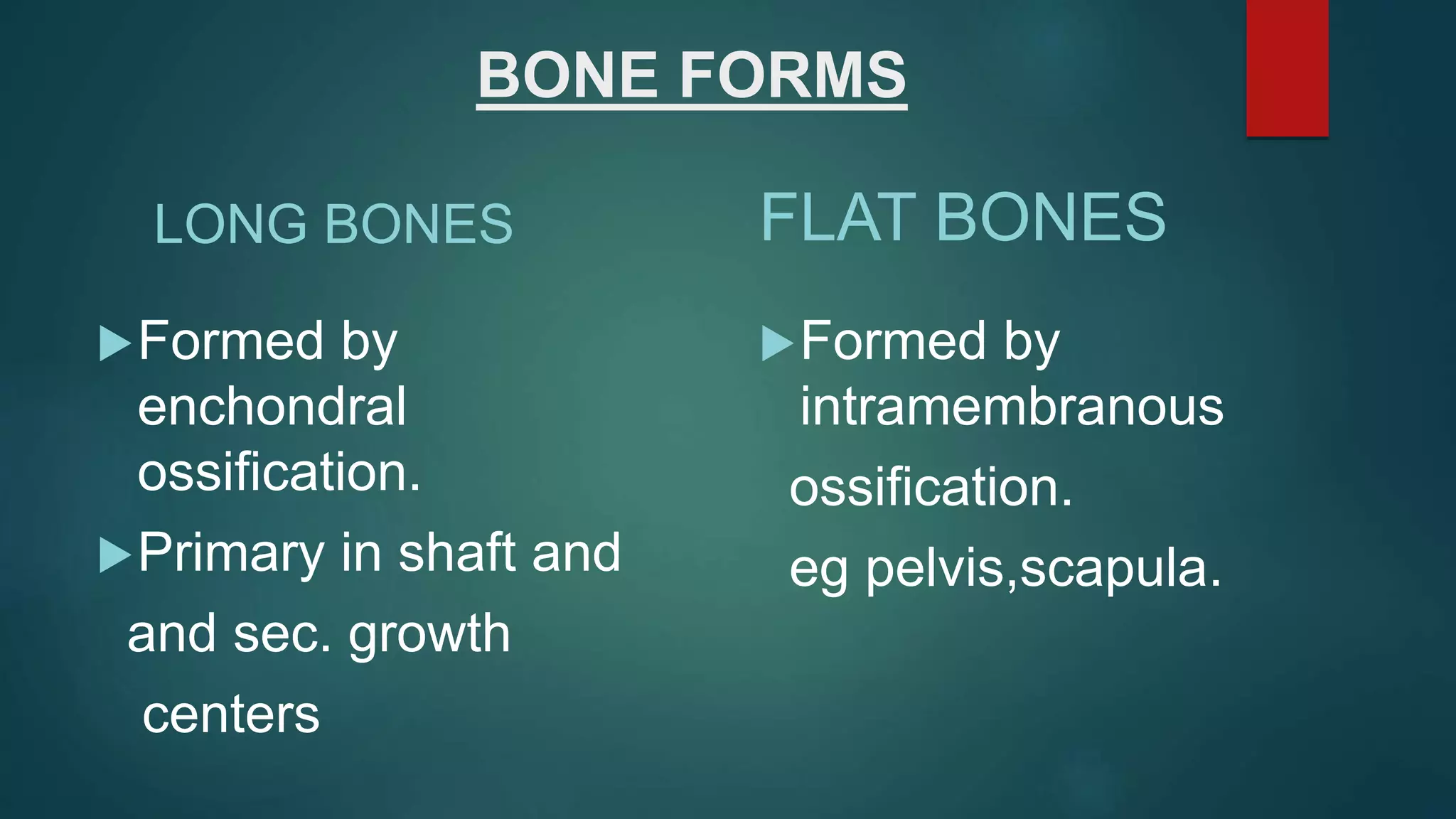 Anatomy and histology of bone | PPTX