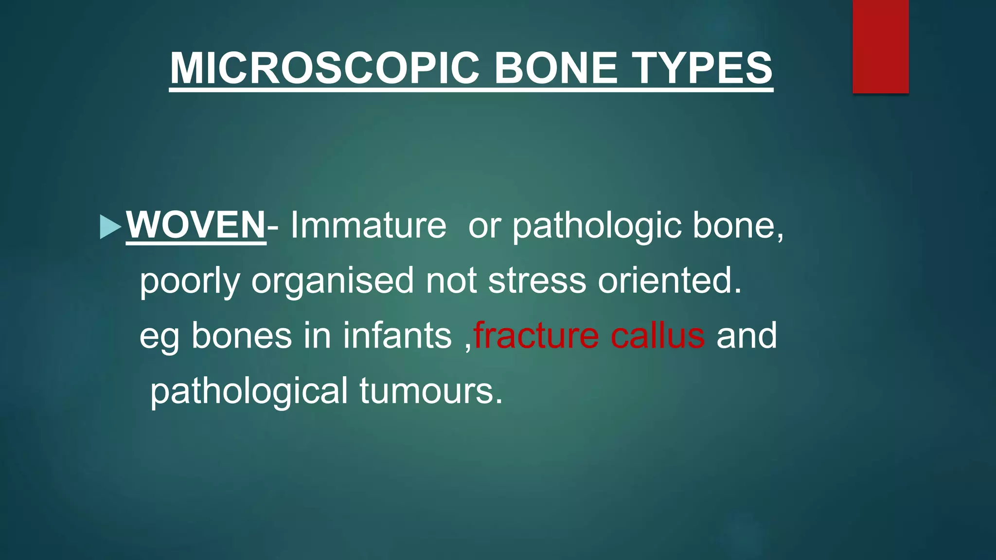 Anatomy and histology of bone | PPTX