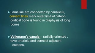 Anatomy and histology of bone | PPTX
