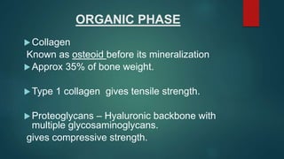 Anatomy and histology of bone | PPTX