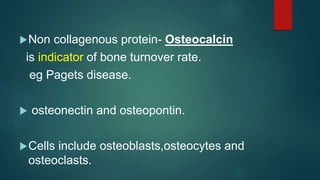 Anatomy and histology of bone | PPTX