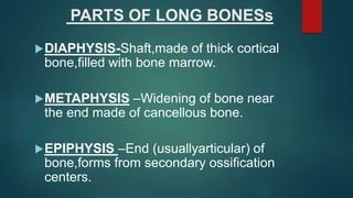 Anatomy and histology of bone | PPTX