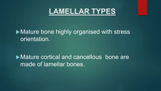 Anatomy and histology of bone | PPTX