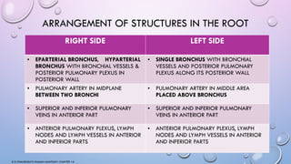 ANATOMY AND HISTOLOGY OF LUNG IN DETAIL FOR PG | PPTX