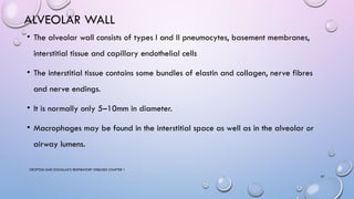 ANATOMY AND HISTOLOGY OF LUNG IN DETAIL FOR PG | PPTX