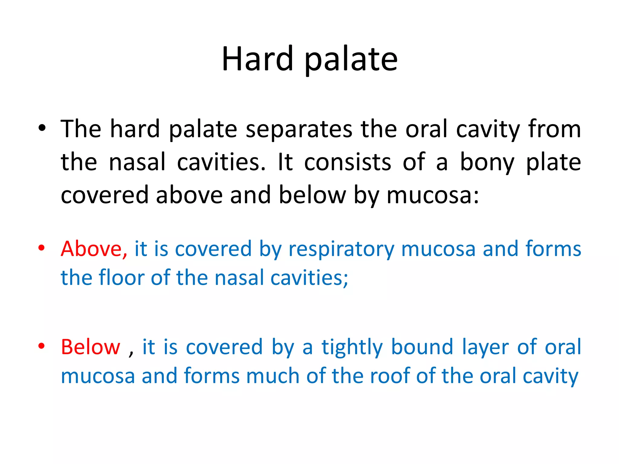 Anatomy and histology of palate | PPTX