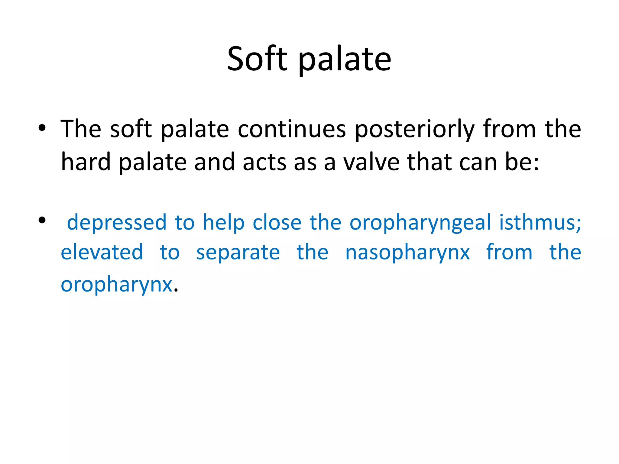 Anatomy and histology of palate | PPTX