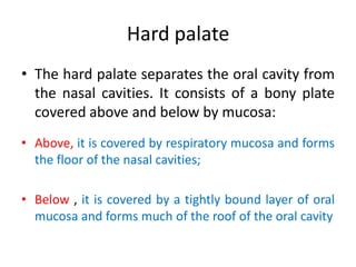 Anatomy and histology of palate | PPTX