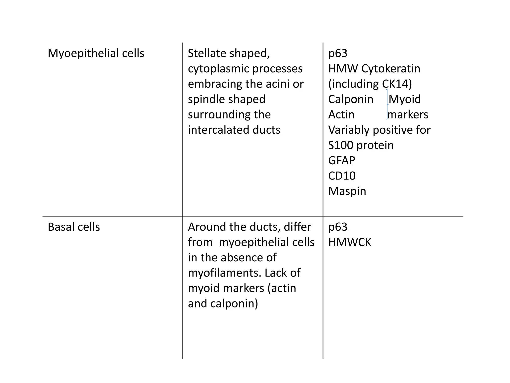 ANATOMY AND HISTOLOGY OF SALIVARY GLAND.pptx