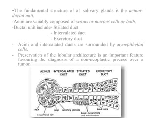ANATOMY AND HISTOLOGY OF SALIVARY GLAND.pptx