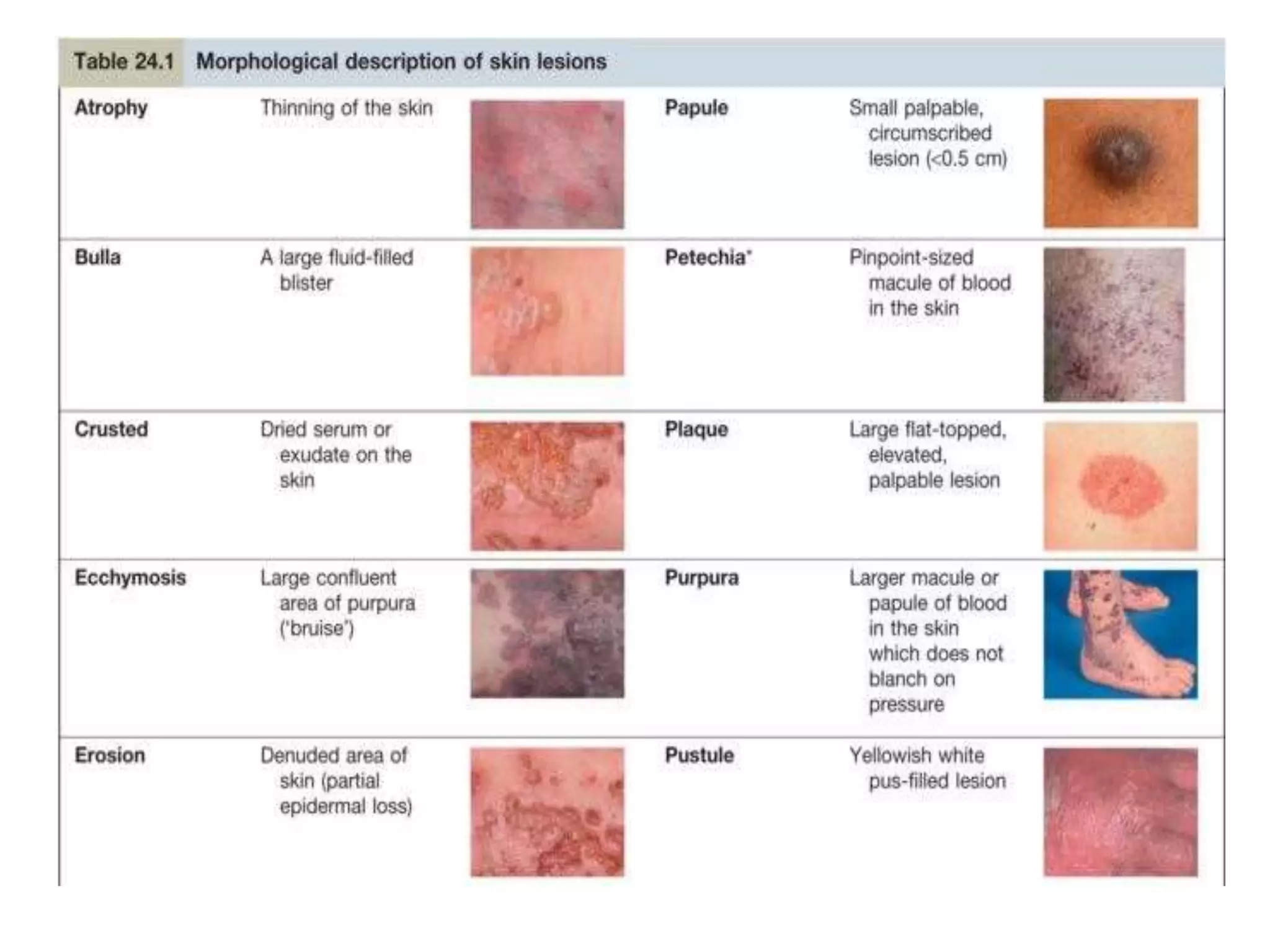 Anatomy and History taking in Dermatology.pptx