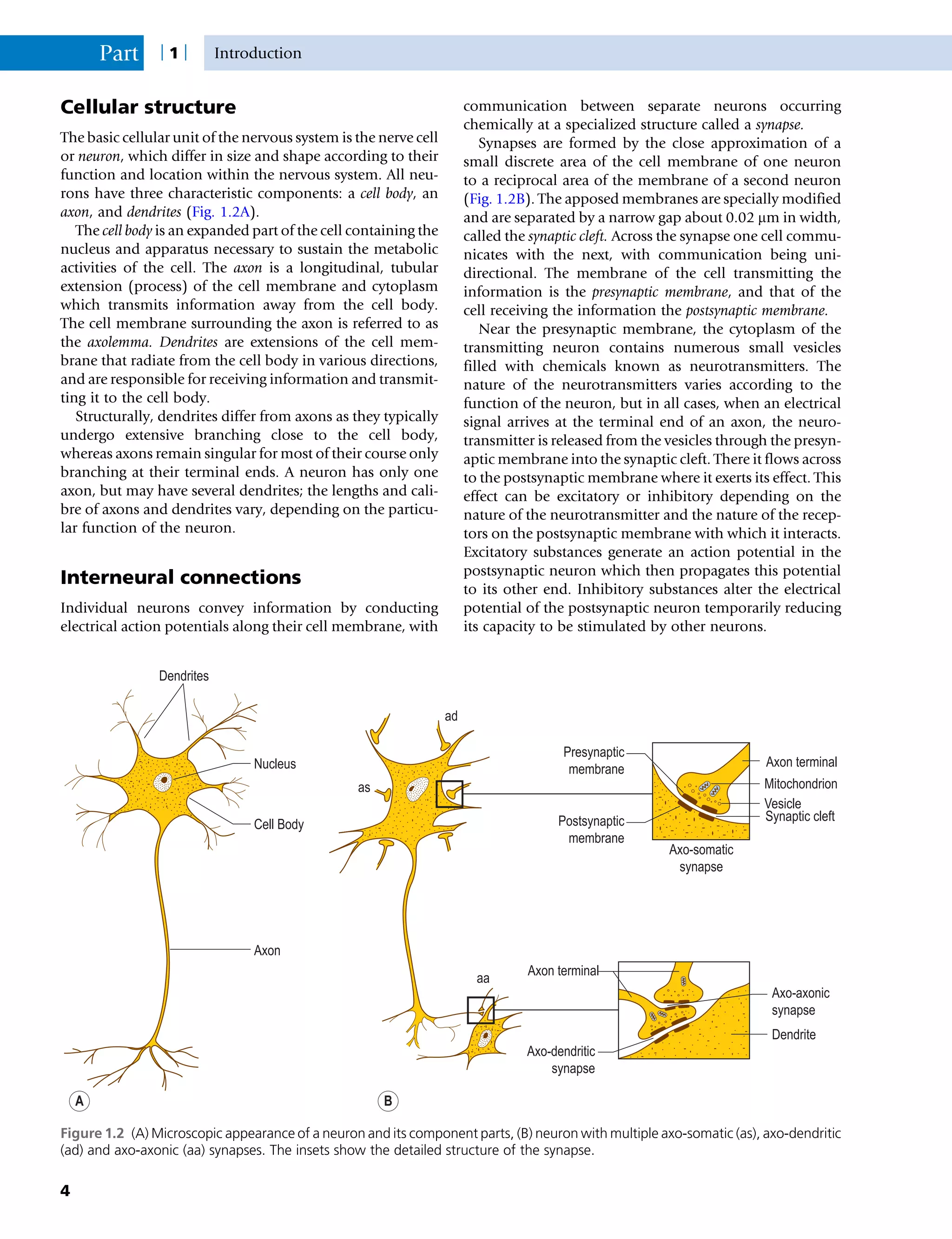 Anatomy_and_Human_Movement.pdf