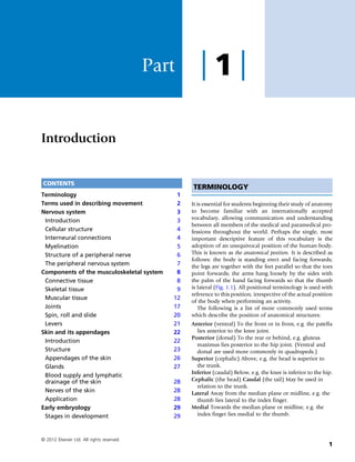 Anatomy_and_Human_Movement.pdf