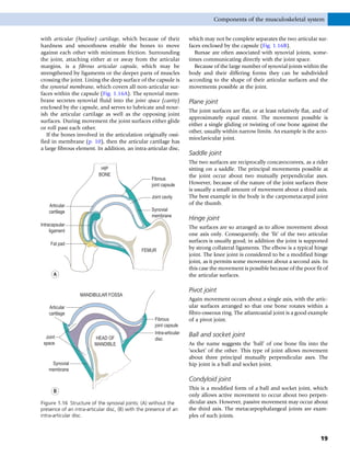 Anatomy_and_Human_Movement.pdf