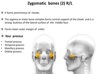 Anatomy and image interpretation of facial bone | PPTX