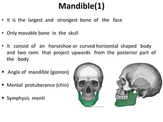 Anatomy and image interpretation of facial bone | PPTX
