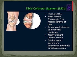 Anatomy and imaging of knee joint | PPTX
