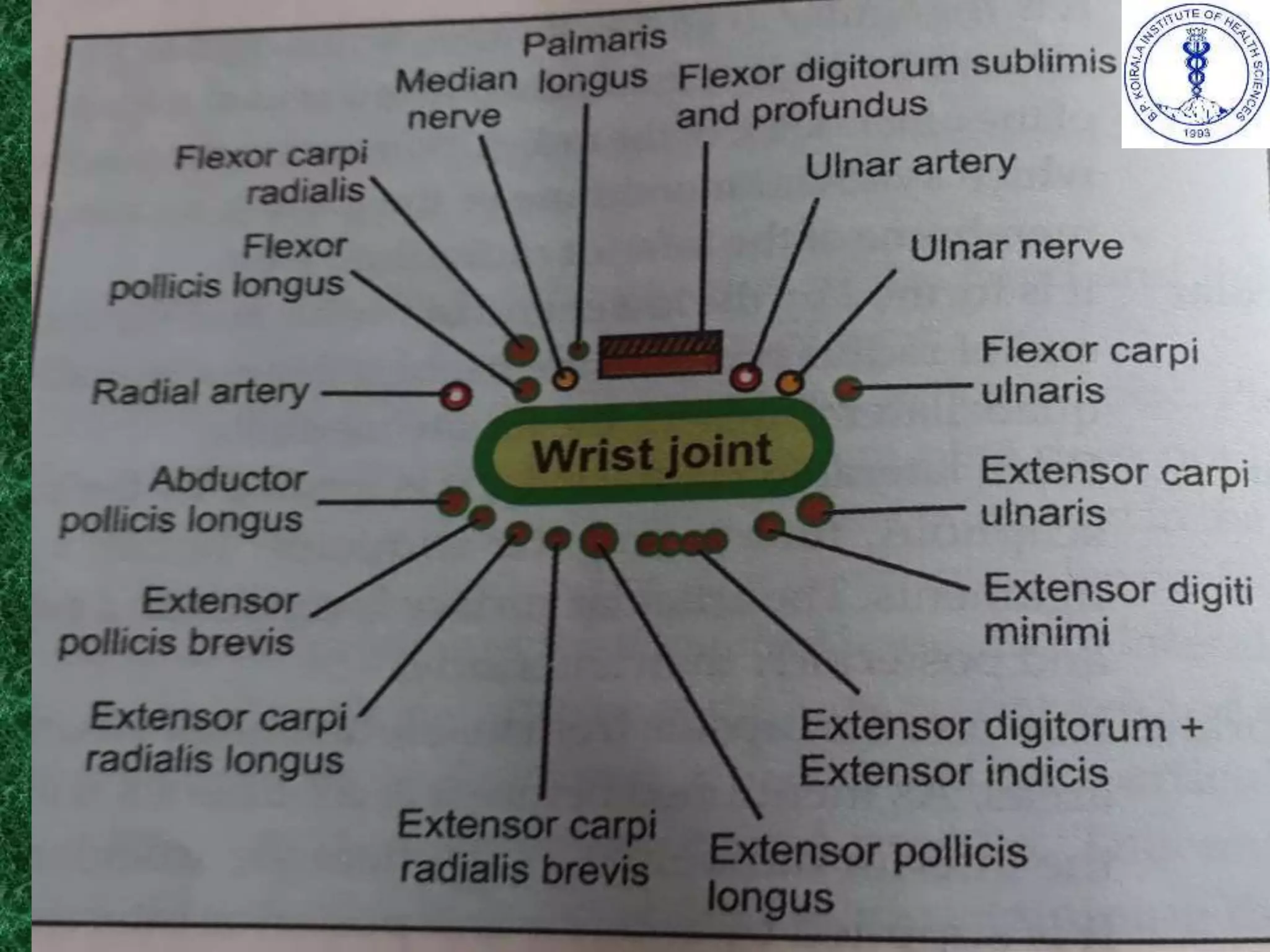 Anatomy and imaging of wrist joint (MRI AND XRAY) | PPTX