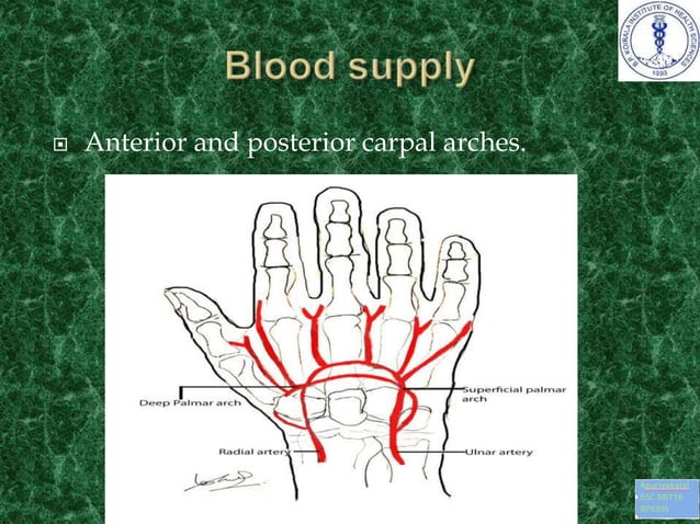 Anatomy and imaging of wrist joint (MRI AND XRAY) | PPTX