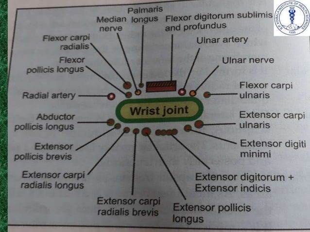 Anatomy and imaging of wrist joint (MRI AND XRAY) | PPTX