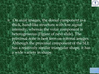 Anatomy and imaging of wrist joint (MRI AND XRAY) | PPTX