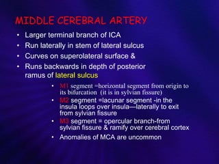 Anatomy and intervention in cerebral vasculature | PPTX