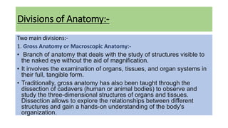ANATOMY and its scope.pptx