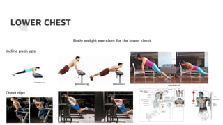 Cardio and Chest | PPTX