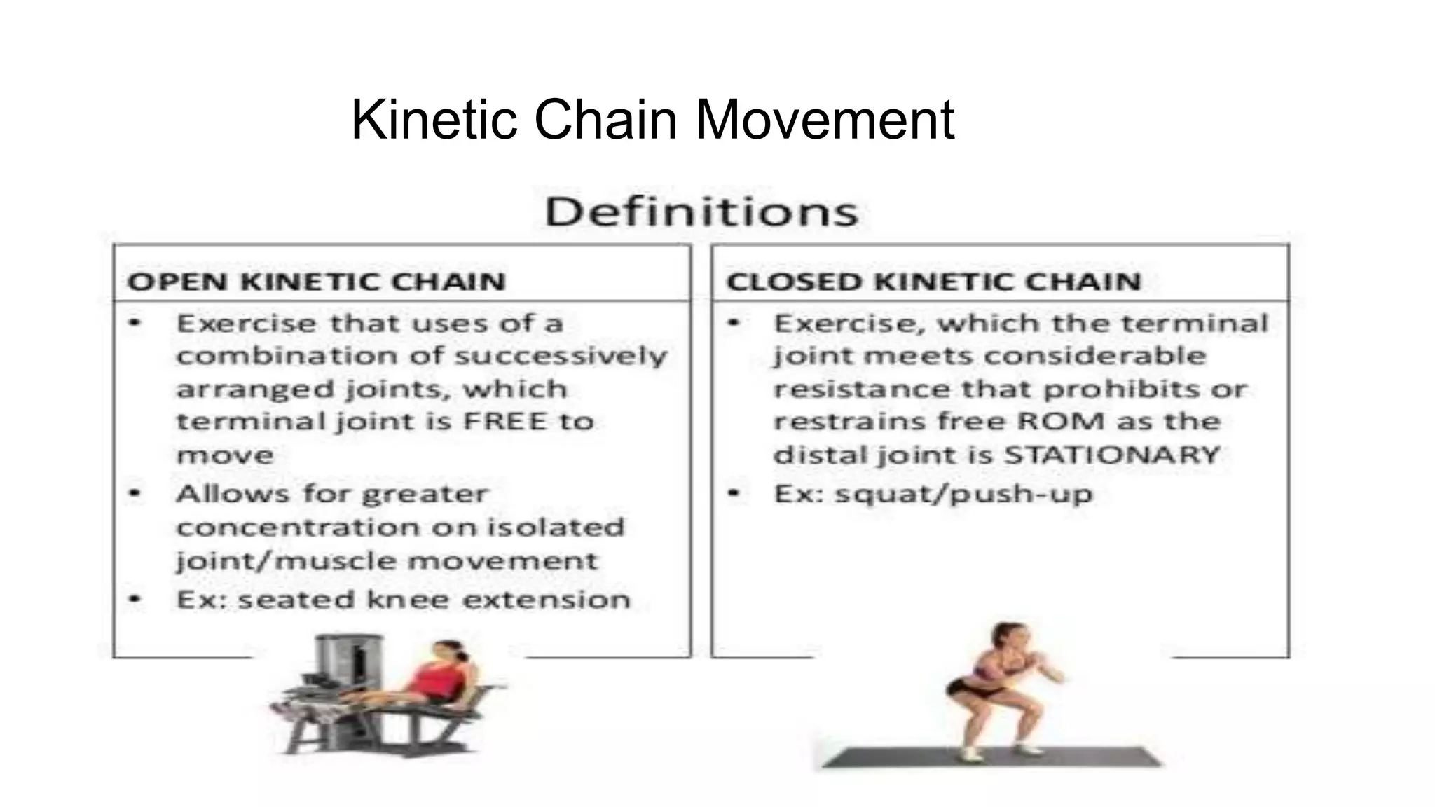 Anatomy and kinesiology | PPTX