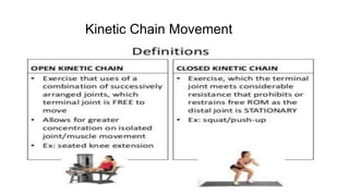 Anatomy and kinesiology | PPTX