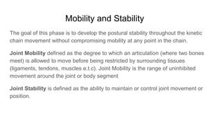 Anatomy and kinesiology | PPTX