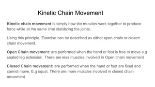 Anatomy and kinesiology | PPTX