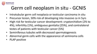 Anatomy,pathology testicular cancers.pdf