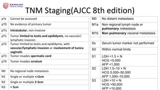 Anatomy,pathology testicular cancers.pdf
