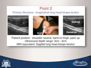 Anatomy and physical exam of the shoulder | PPTX