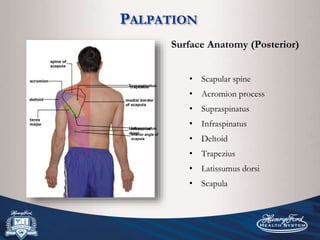 Anatomy and physical exam of the shoulder | PPTX