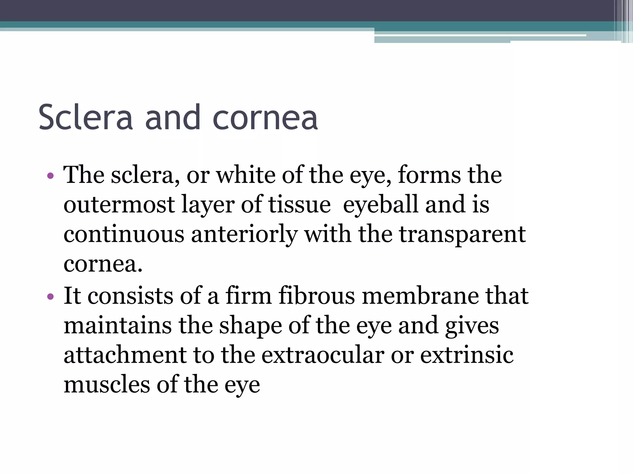 Anatomy and physilogy of eye,nose and throat | PPTX
