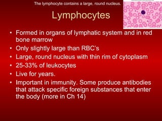 Anatomy And Physiology | PPT