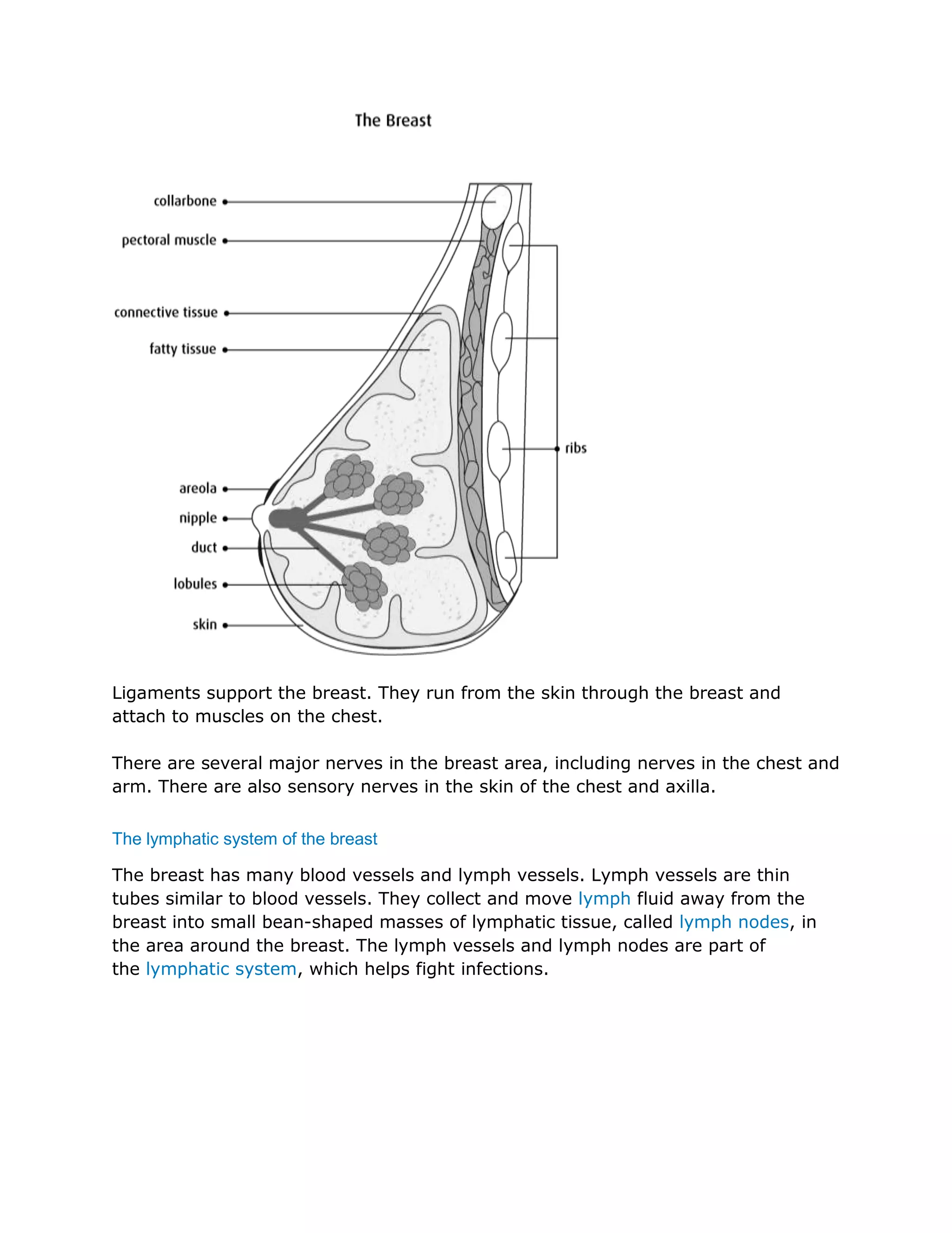 Anatomy and physiology | DOCX