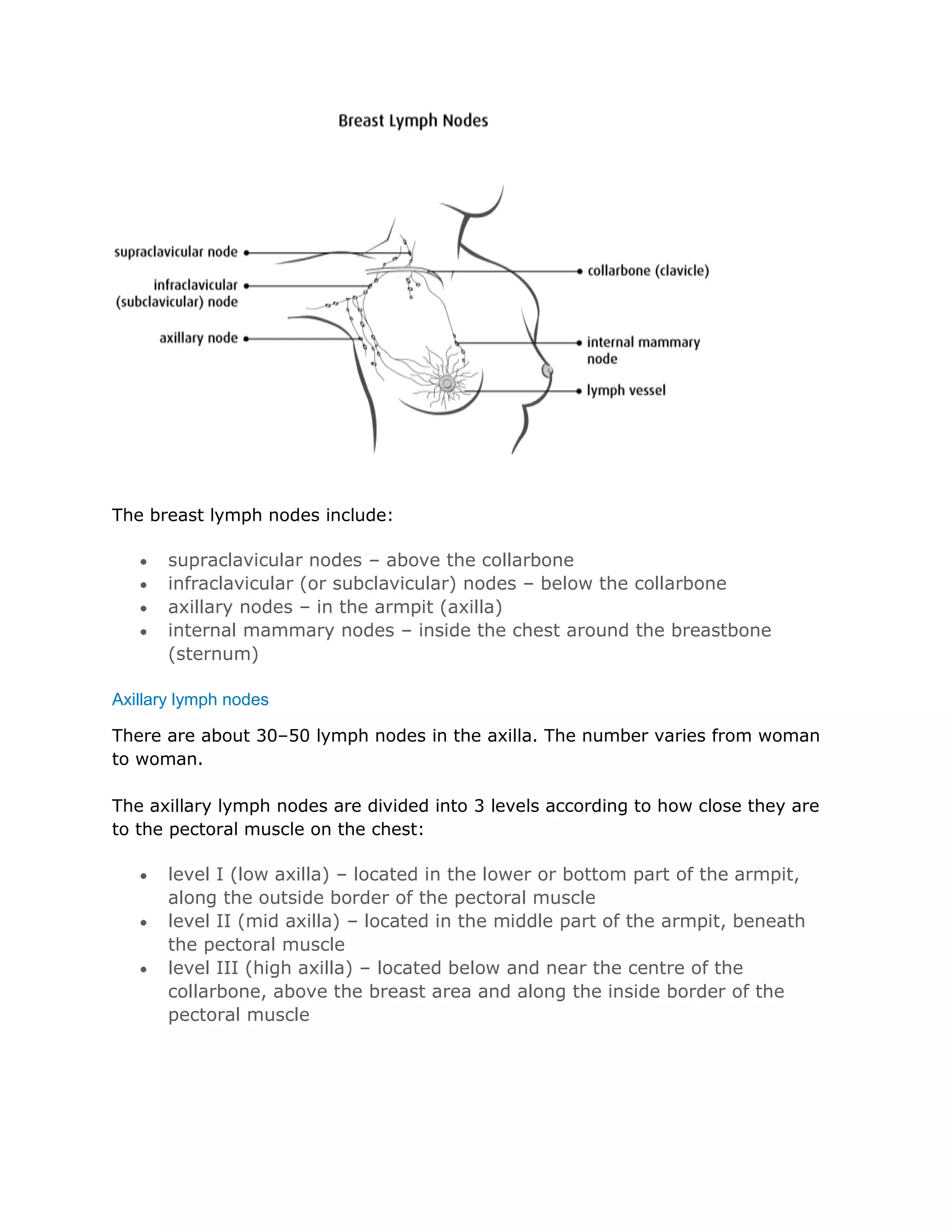 Anatomy and physiology | DOCX