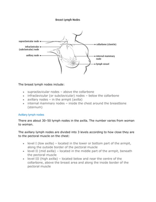 Anatomy and physiology | DOCX