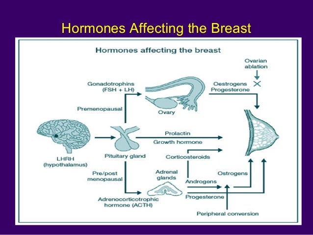 Anatomy and physiology