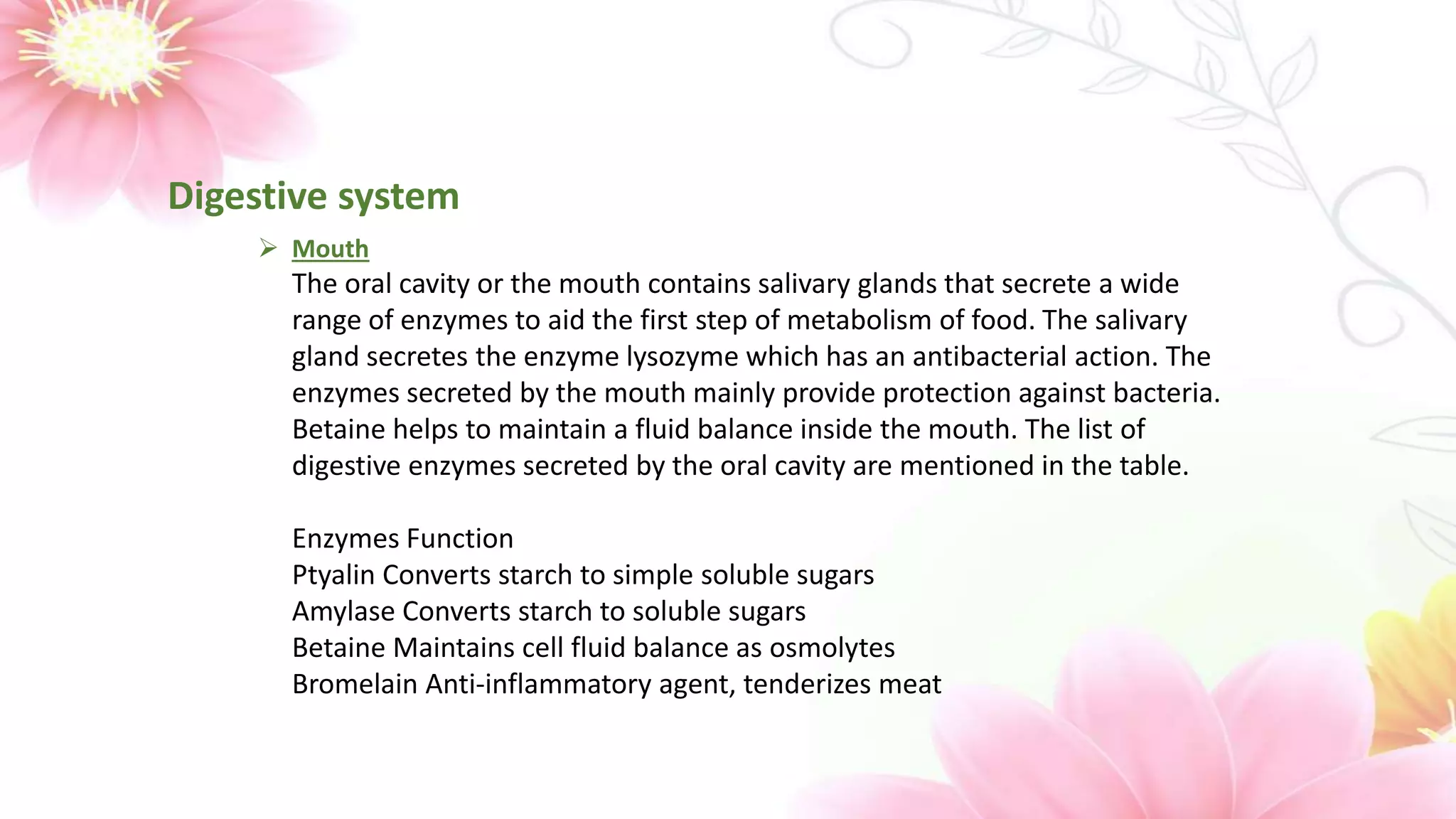 Anatomy and physiology | PPT