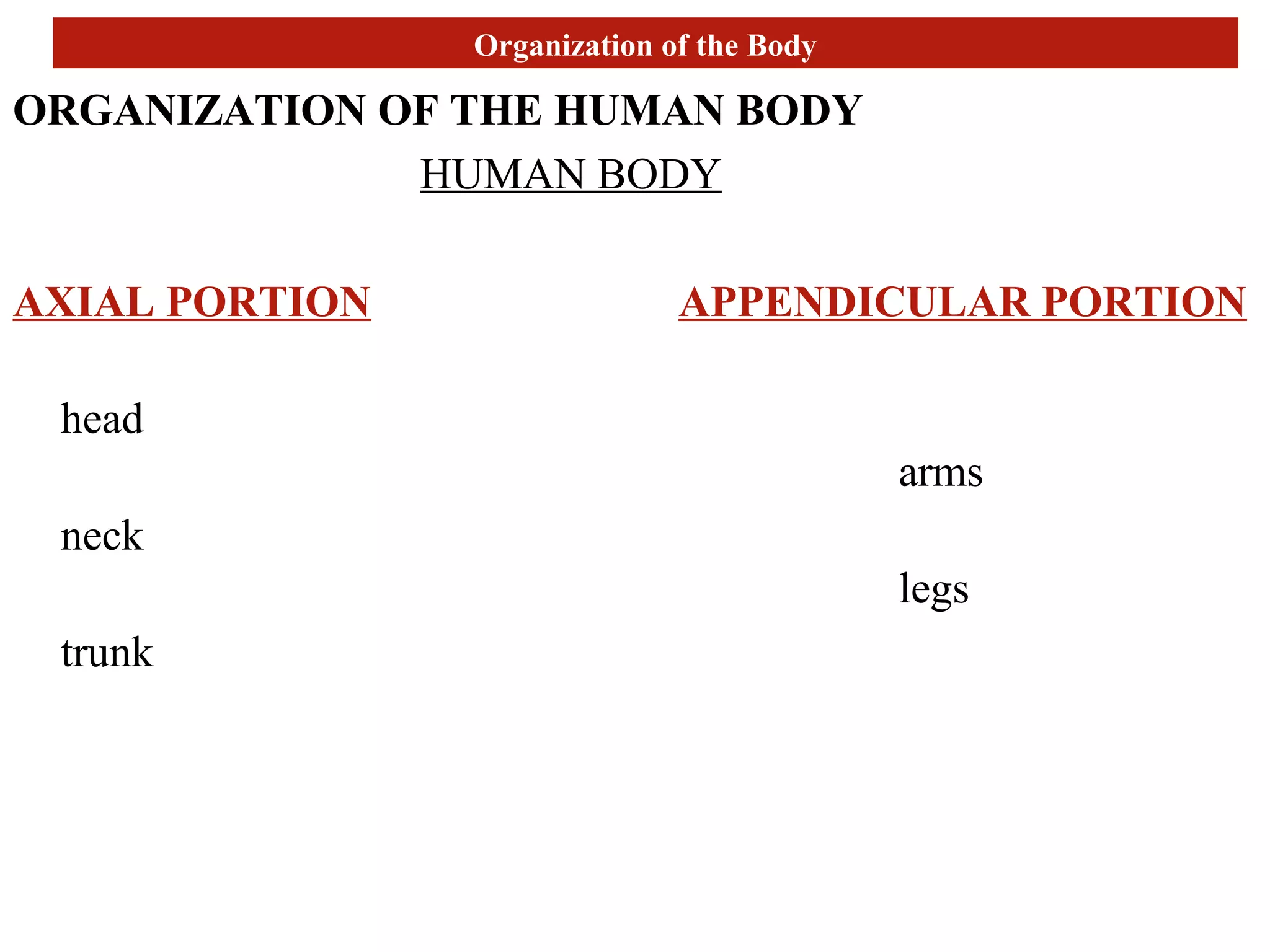 Anatomy and physiology | PPT