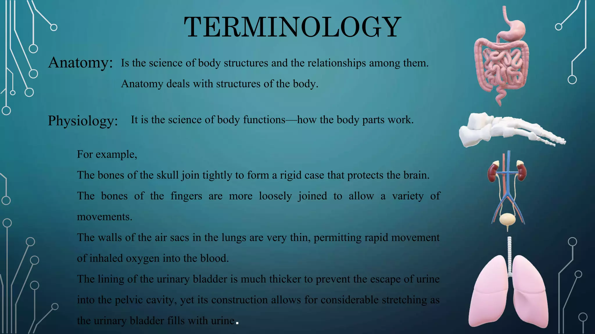 Anatomy and physiology | PPTX