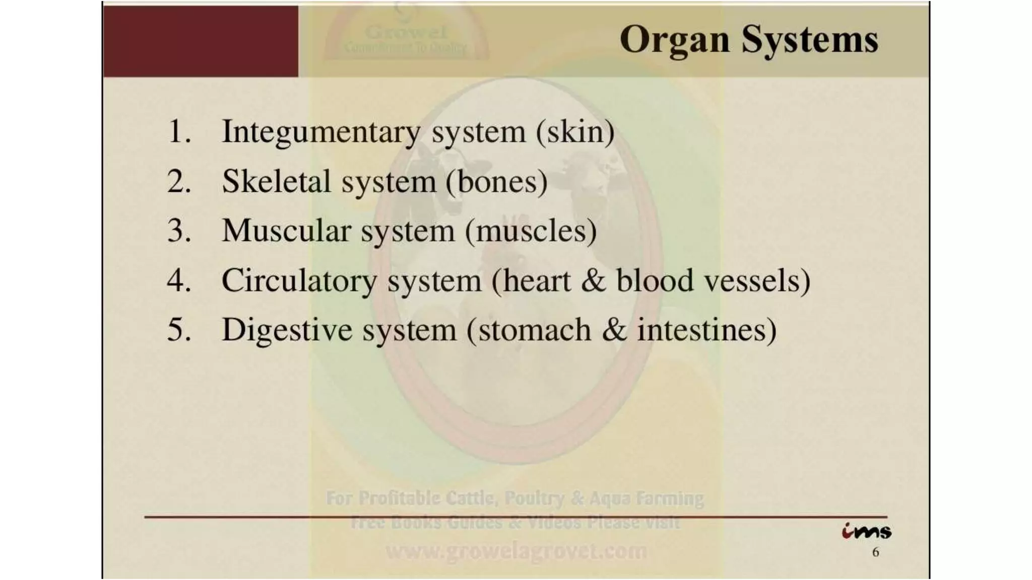 Anatomy and Physiology.pptx