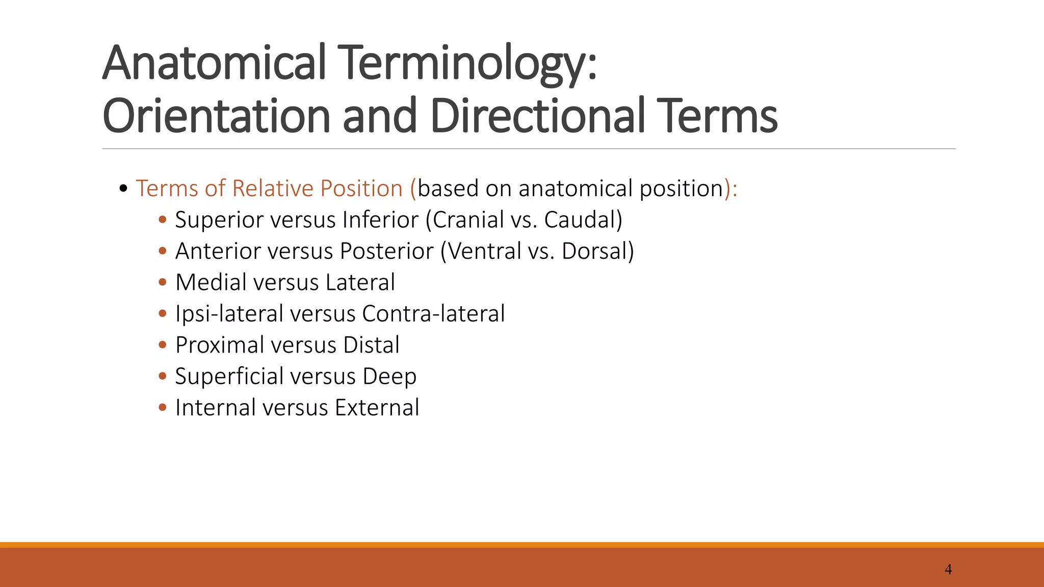 Anatomy and Physiology.pptx | Biological Sciences | Science